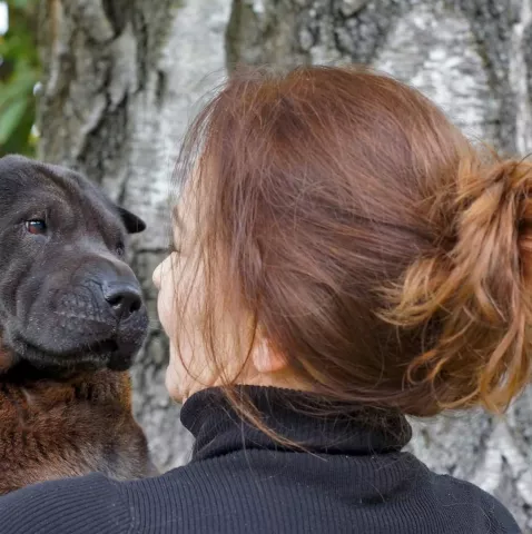 Interview with Alexandra Gabrisch | The chinese Shar Pei